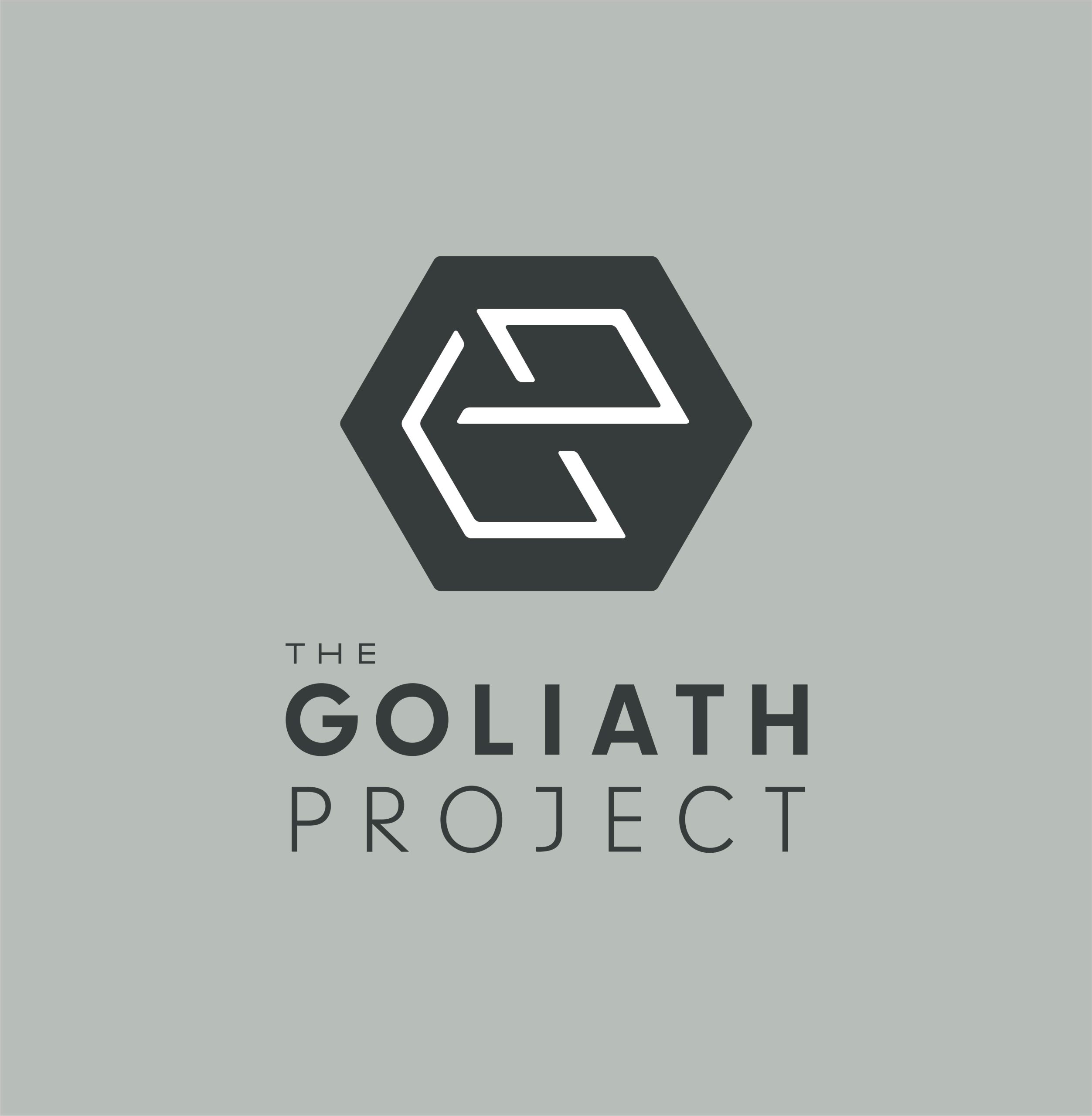The Goliath Project Logo Design | Studio2 Design + Digital St. Paul, MN